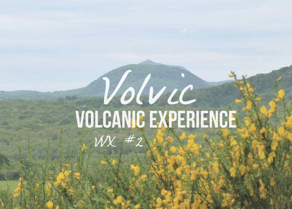Volvic Volcanic Experience VVX #2 – The magic orange plastic bird said…